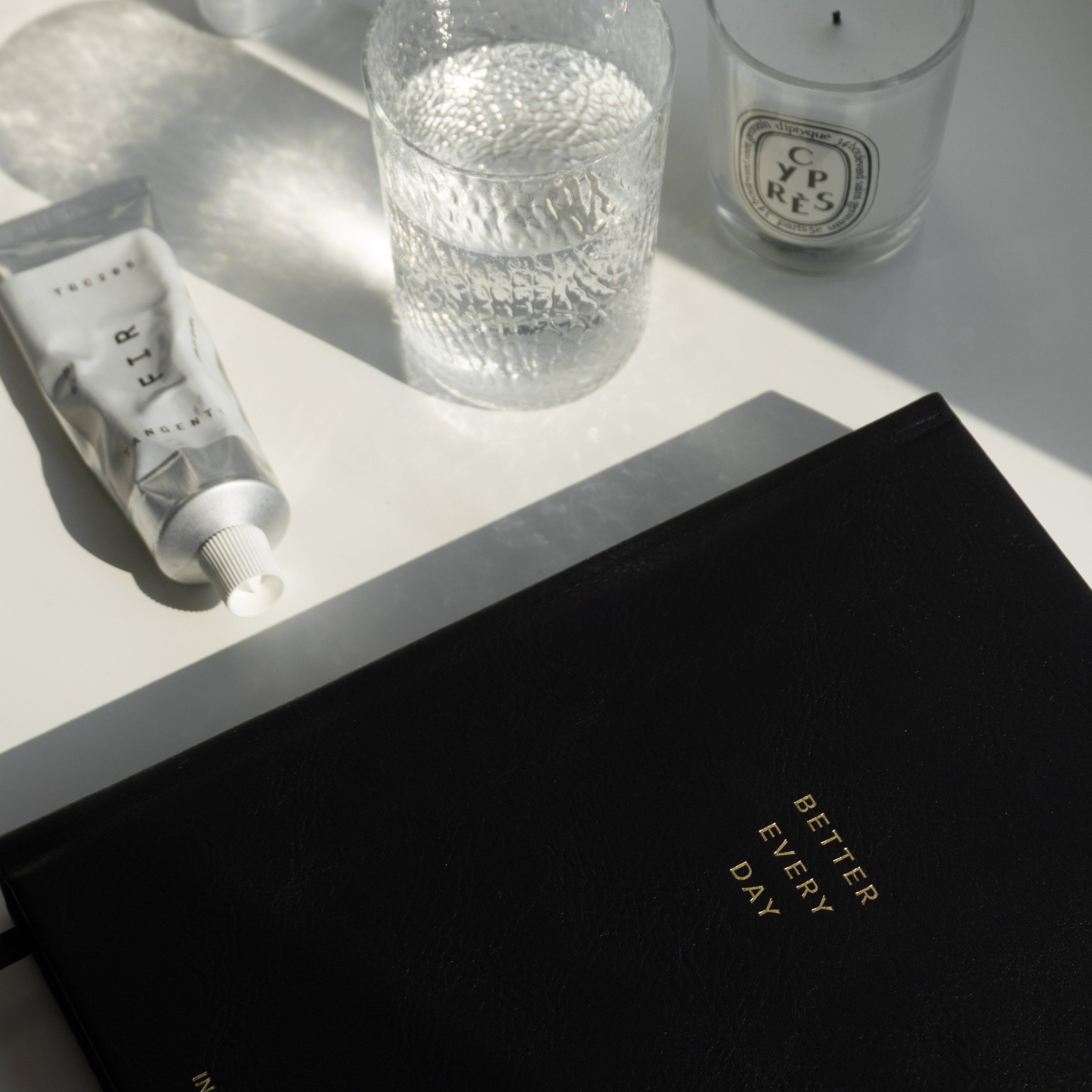 Better Every Day Journal | 365 Daily Prompts for Growth | Lushness